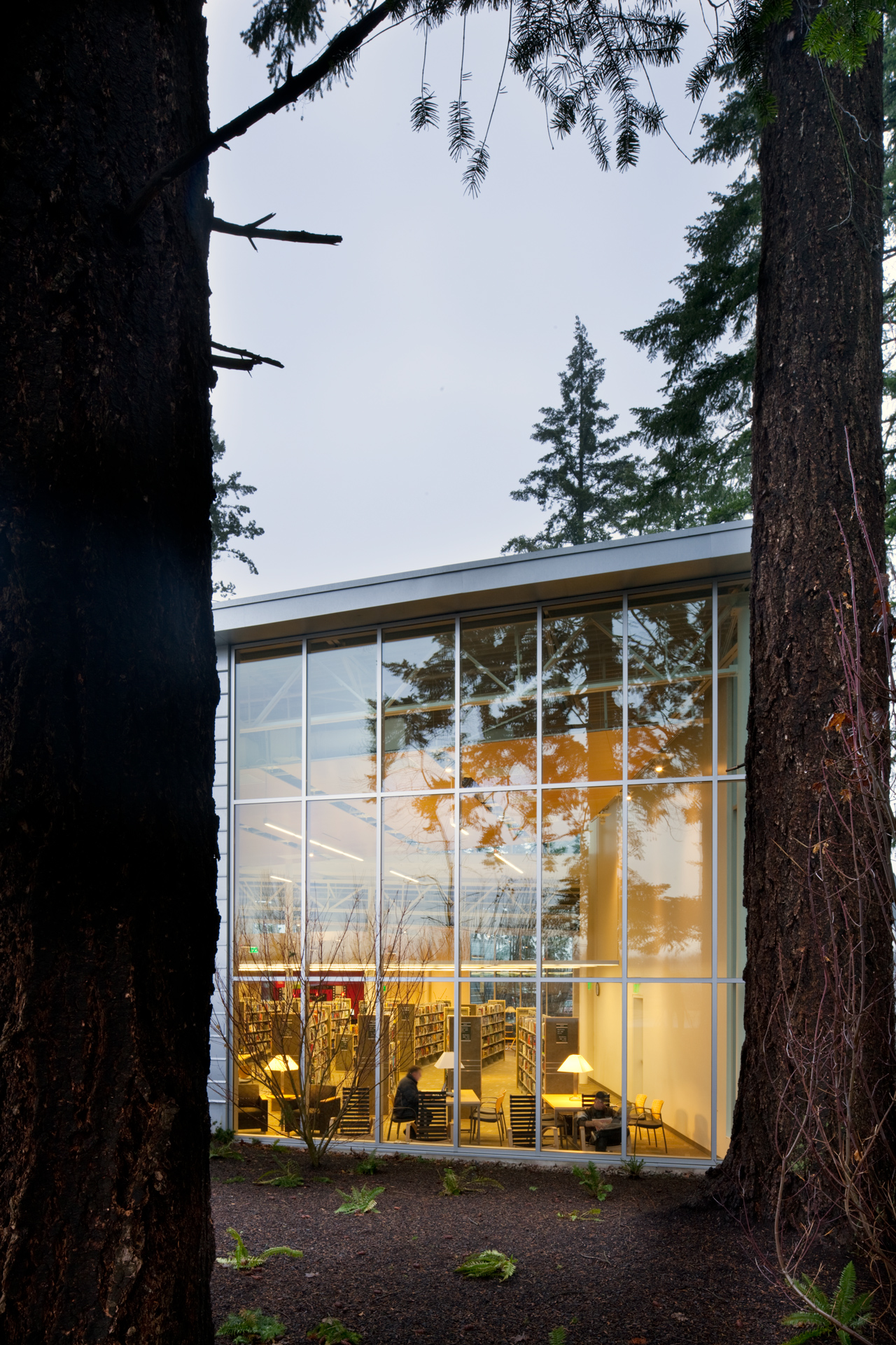 Cascade Park Community Library - Opsis Architecture