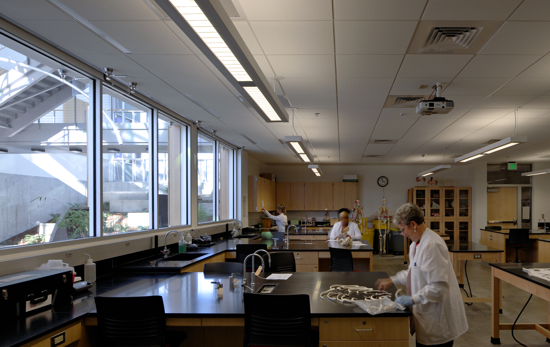 Rainier Science & Technology Building - Opsis Architecture